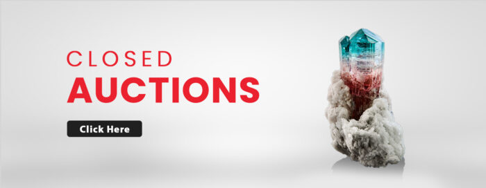 FAM Auctions - Legacy of Trust Since 1968