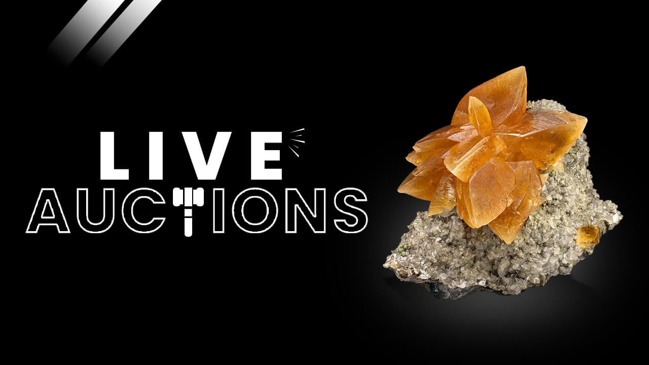 Live Auctions - Rocks, Minerals, and Gemstones - FAM Auctions
