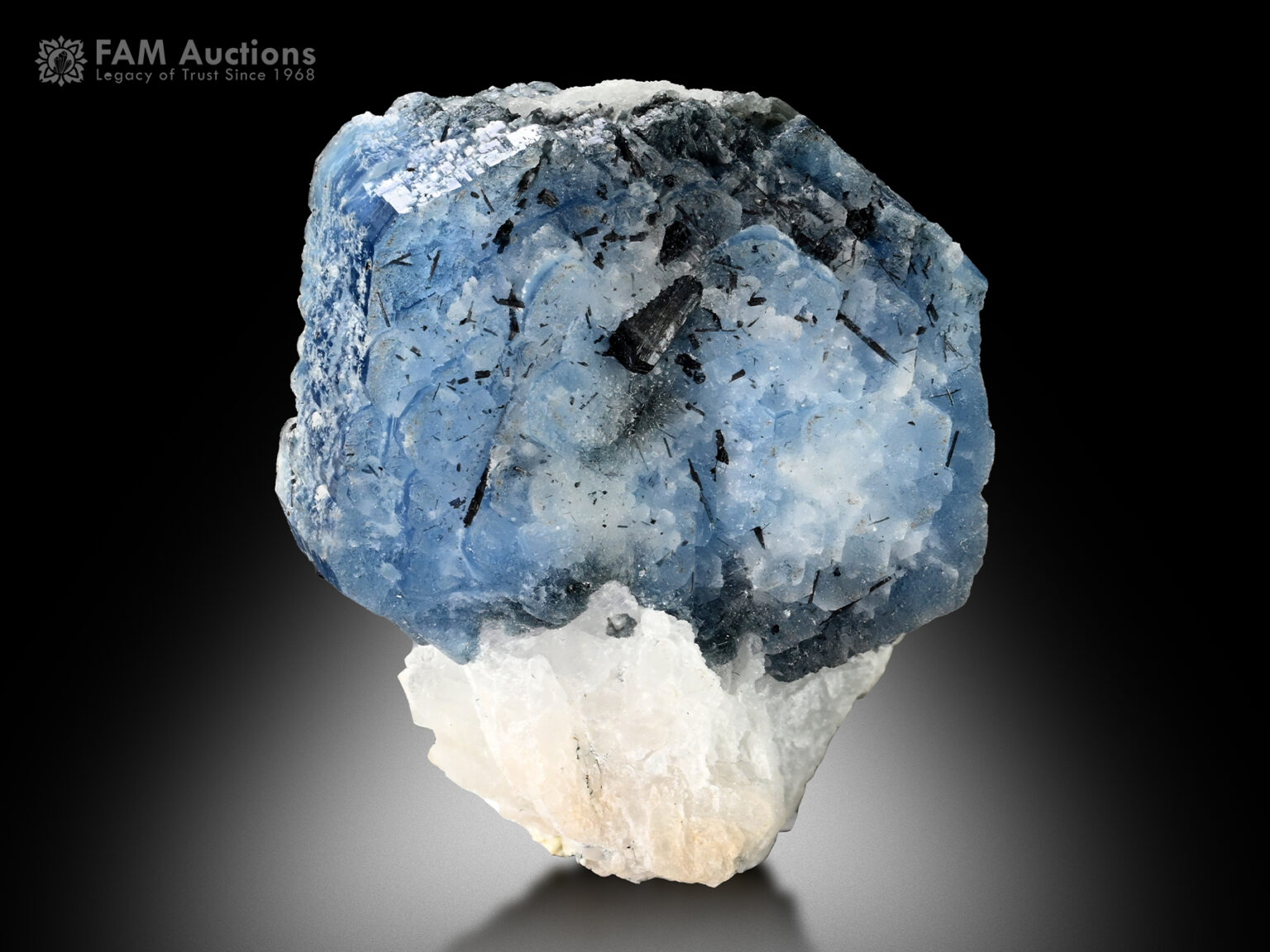 FAM Auctions - Legacy of Trust Since 1968