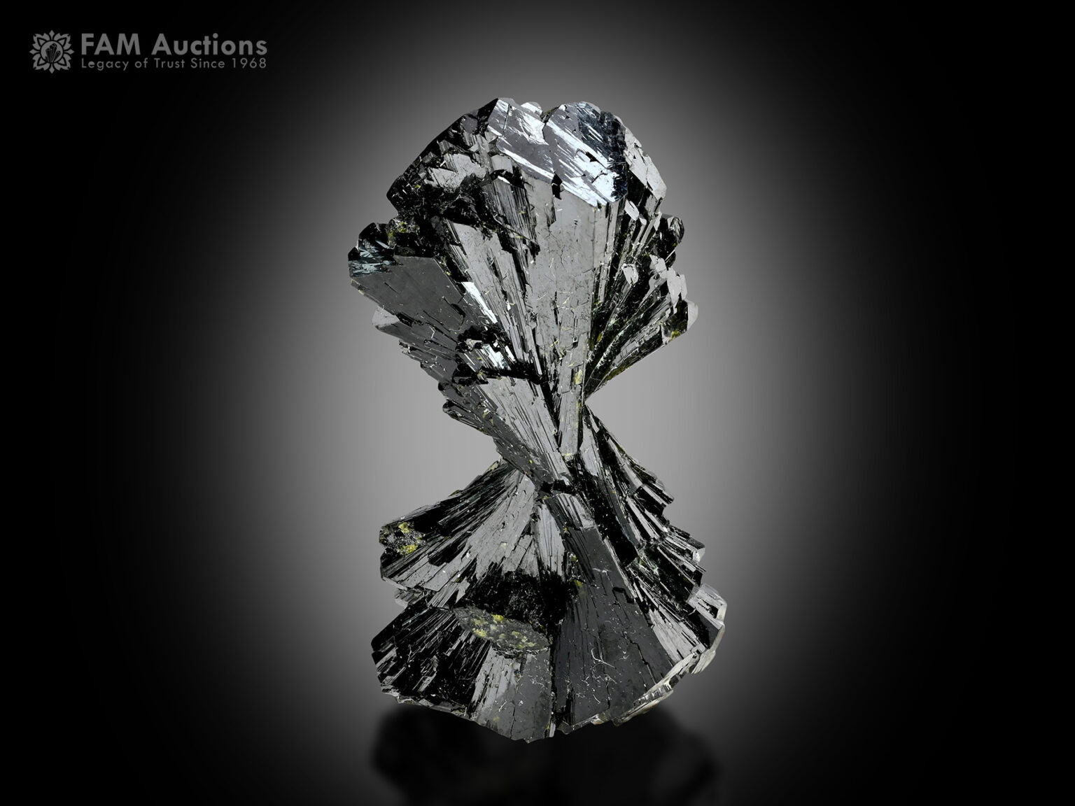 FAM Auctions - Legacy of Trust Since 1968