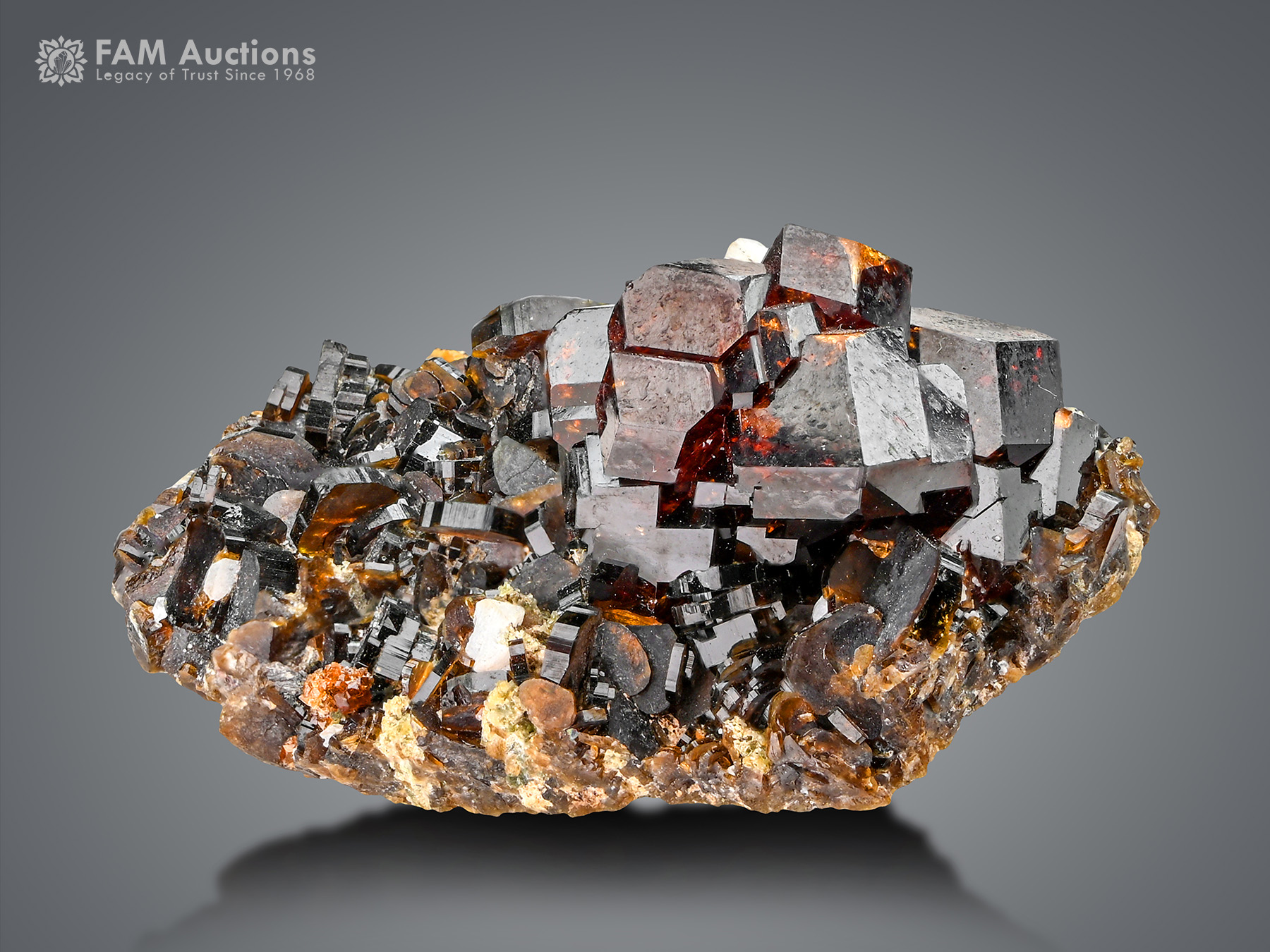 Garnet var. Andradite - Pakistan - FAM Auctions
