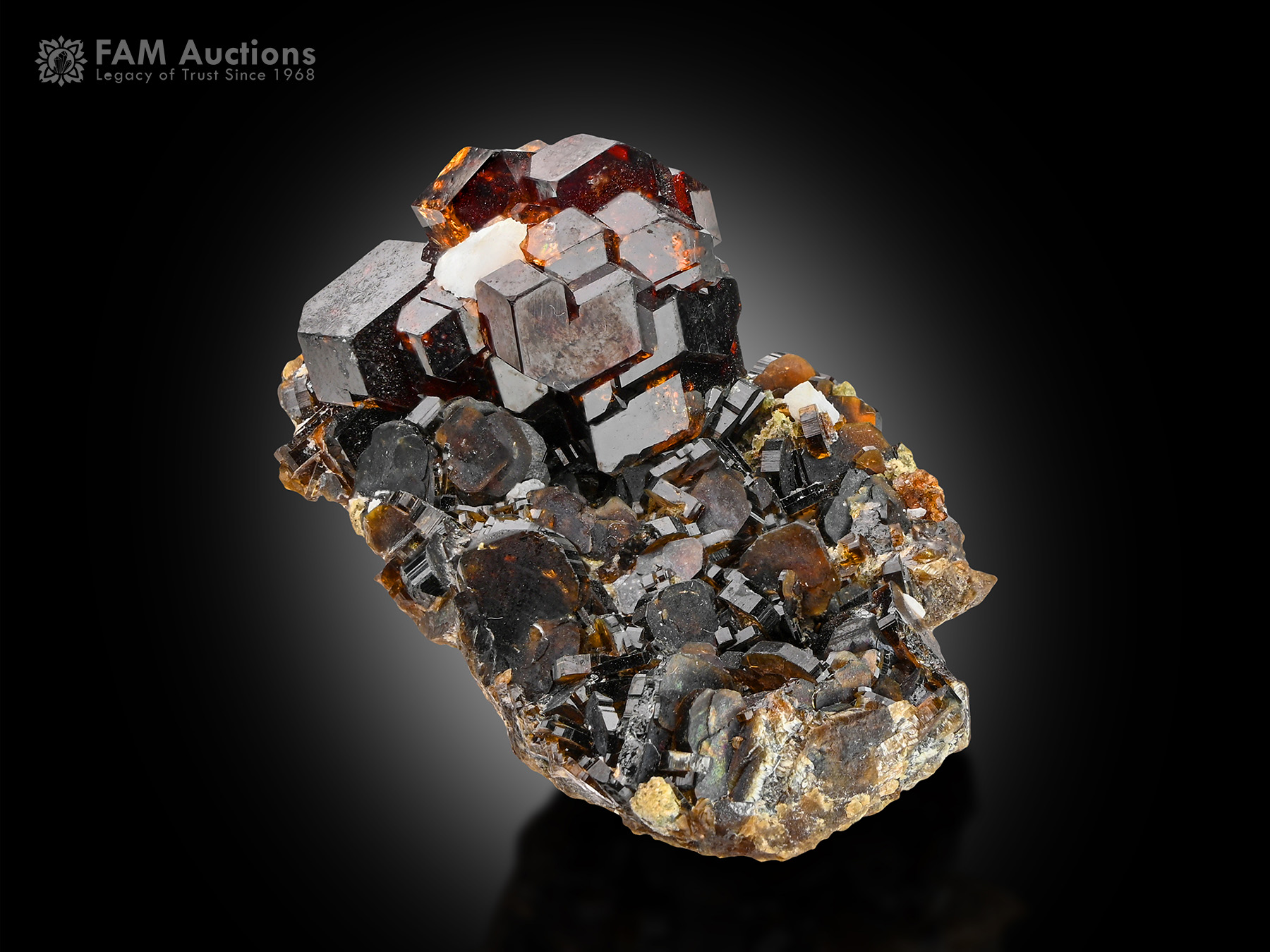 Garnet var. Andradite - Pakistan - FAM Auctions